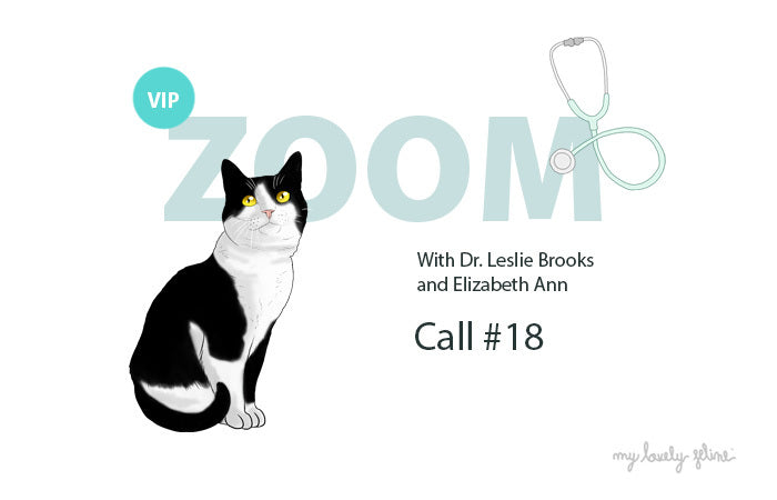 Zoom Recaps