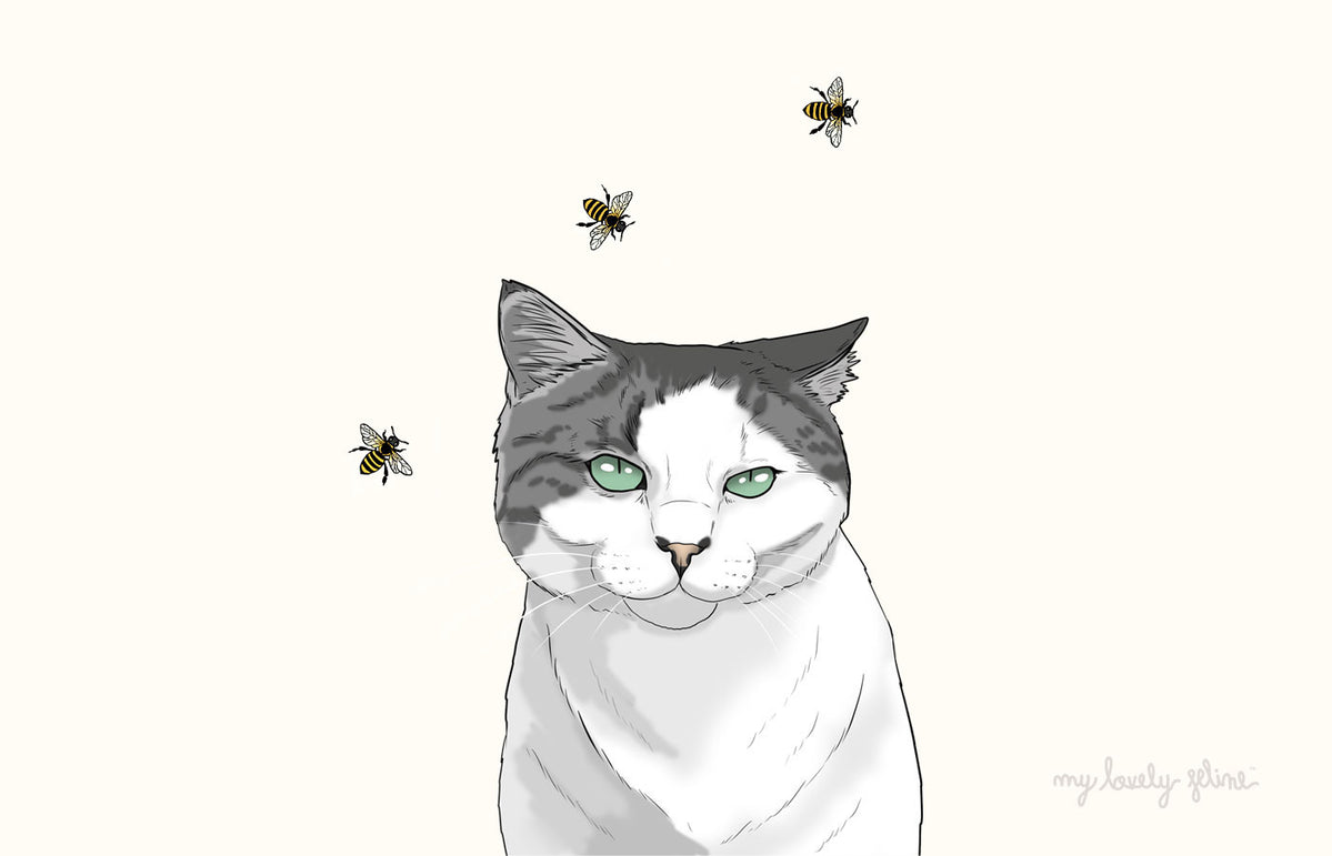 What to Do If Your Cat Gets Stung By a Bee or a Wasp