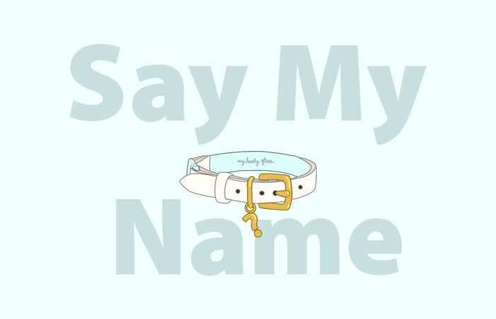 List of Original Cat Names With Their Origins and Meanings